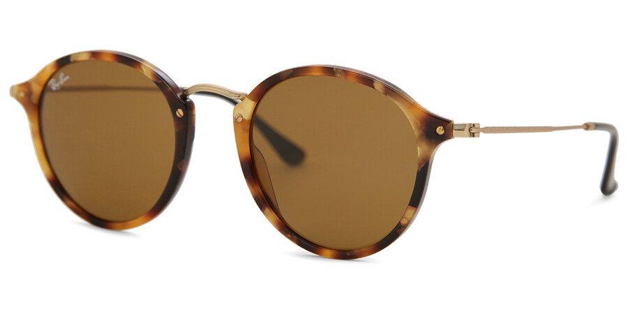 RB2447 Round Fleck sunglasses | Vision Direct AU