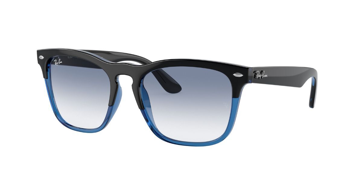 Ray Ban RB4487 Steve 663219 Sunglasses in Black On Transparent Blue ...