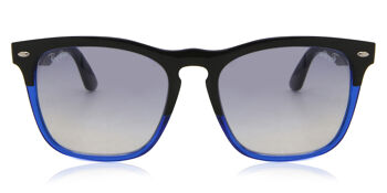 RB4487 Steve sunglasses Dark Brown On Transparent Green Two-Tone ...