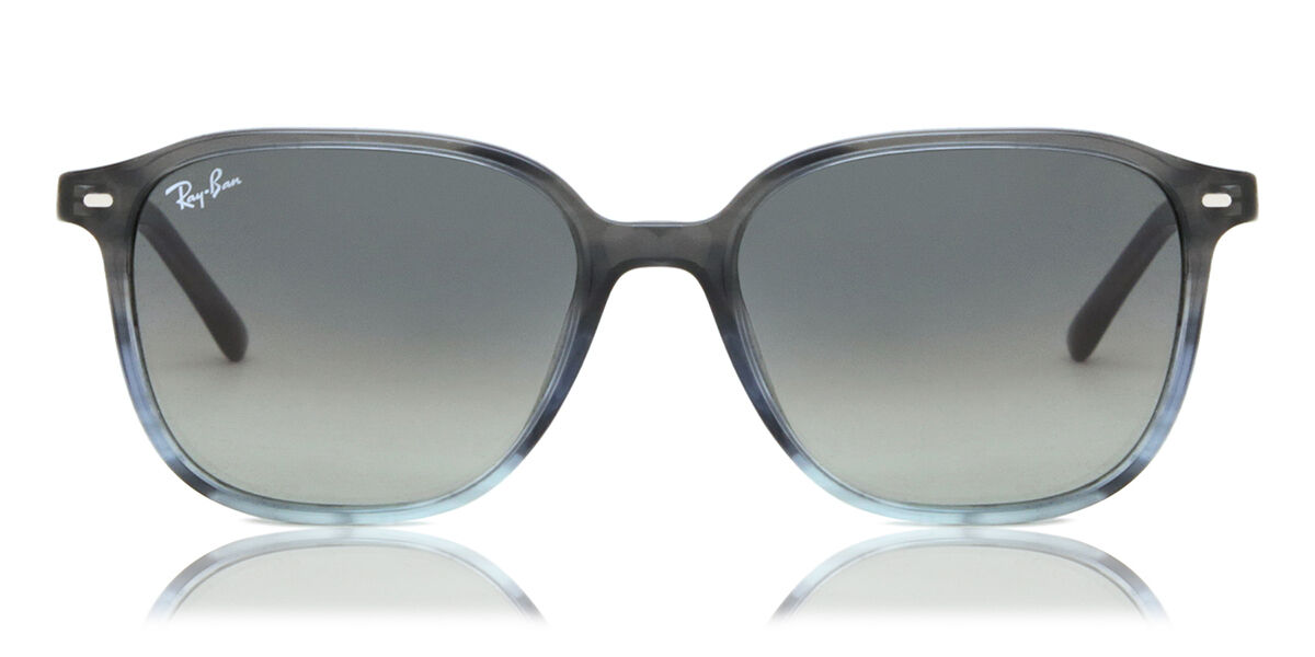 RB2193 Leonard sunglasses Transparent Pattern Blue Grey ...