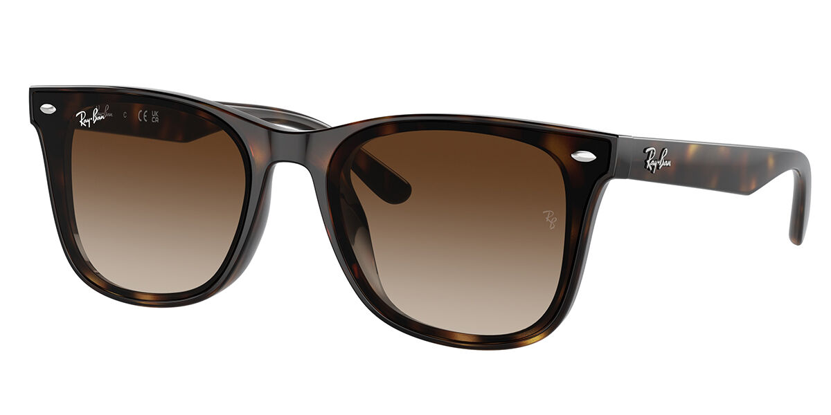 Ray-Ban RB4420 601/87 Sunglasses in Black | SmartBuyGlasses USA