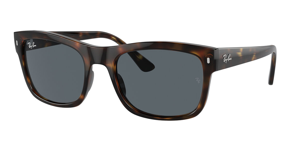 Ray-Ban RB4428 667571 Sunglasses Transparent Dark Grey Opaline ...