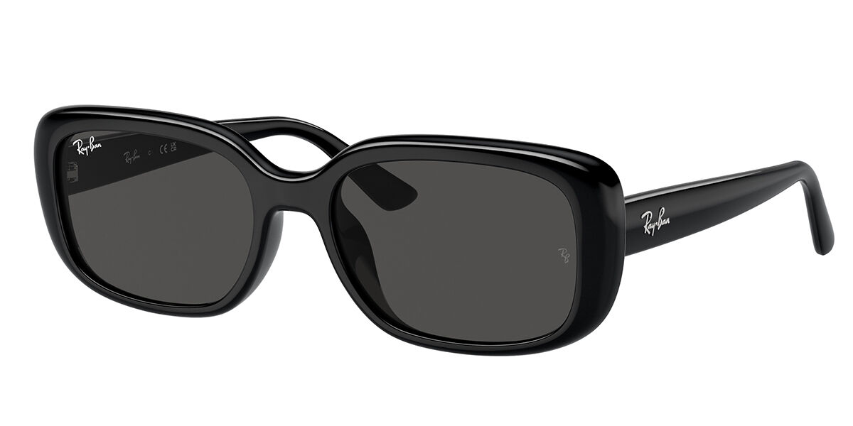 Ray-Ban RB4421D Asian Fit 667787 Sunglasses Black | SmartBuyGlasses ...