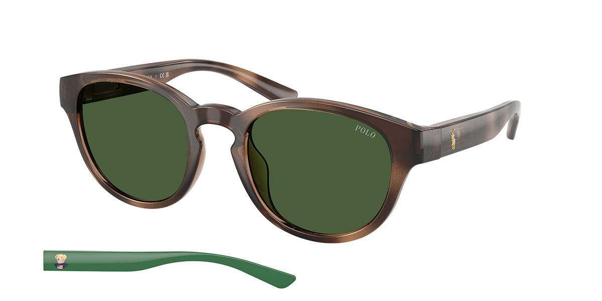PH4233U gafas de sol Glossy Tortoise | LentesWorld México