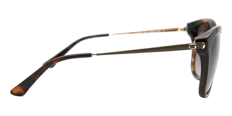 GU7469 sunglasses Tortoiseshell | SmartBuyGlasses US