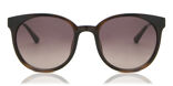 Guess GU7503 52F Sunglasses in Tortoiseshell | SmartBuyGlasses USA