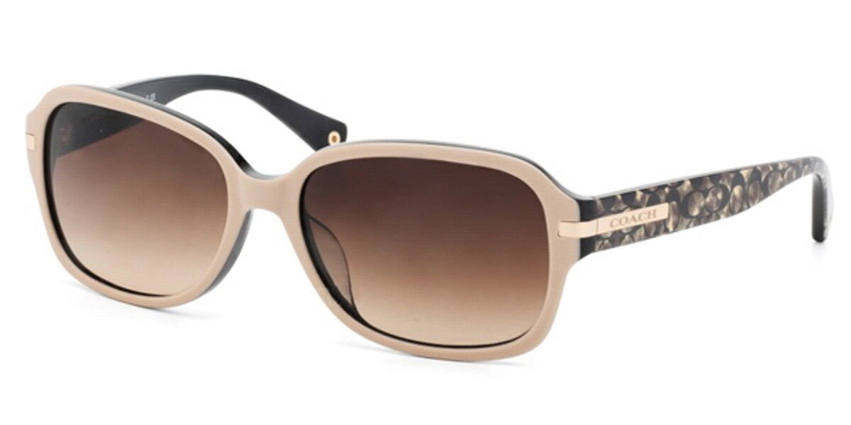 Coach HC8105 Amber 522913 Sunglasses in Black | SmartBuyGlasses USA