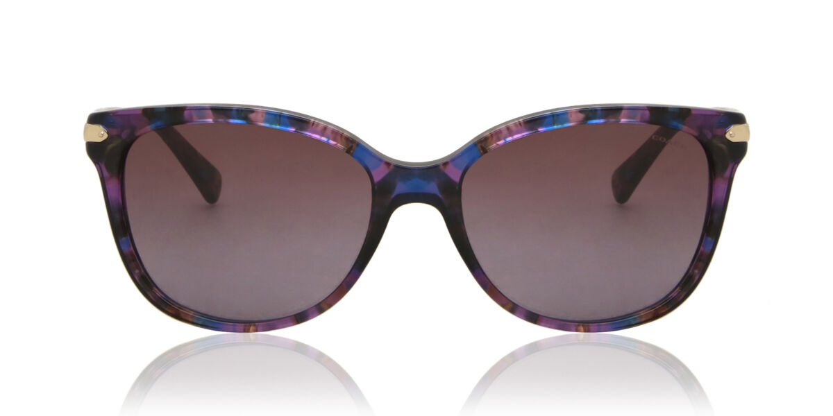 Coach HC8132 L109 52888H Sunglasses Blue | VisionDirect Australia