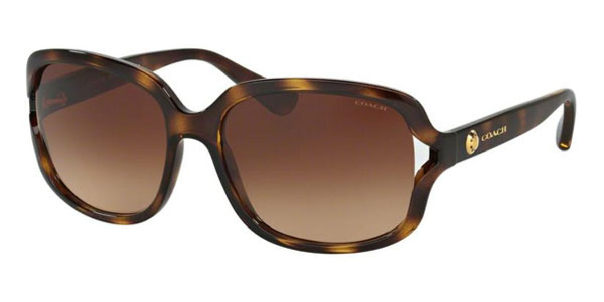 Coach HC8169 L149 512013 Sunglasses in Tortoiseshell | SmartBuyGlasses USA