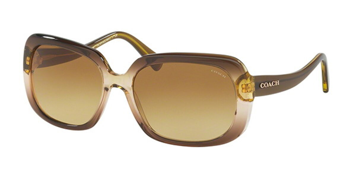 Coach HC8178 54002L Sunglasses Clear | VisionDirect Australia