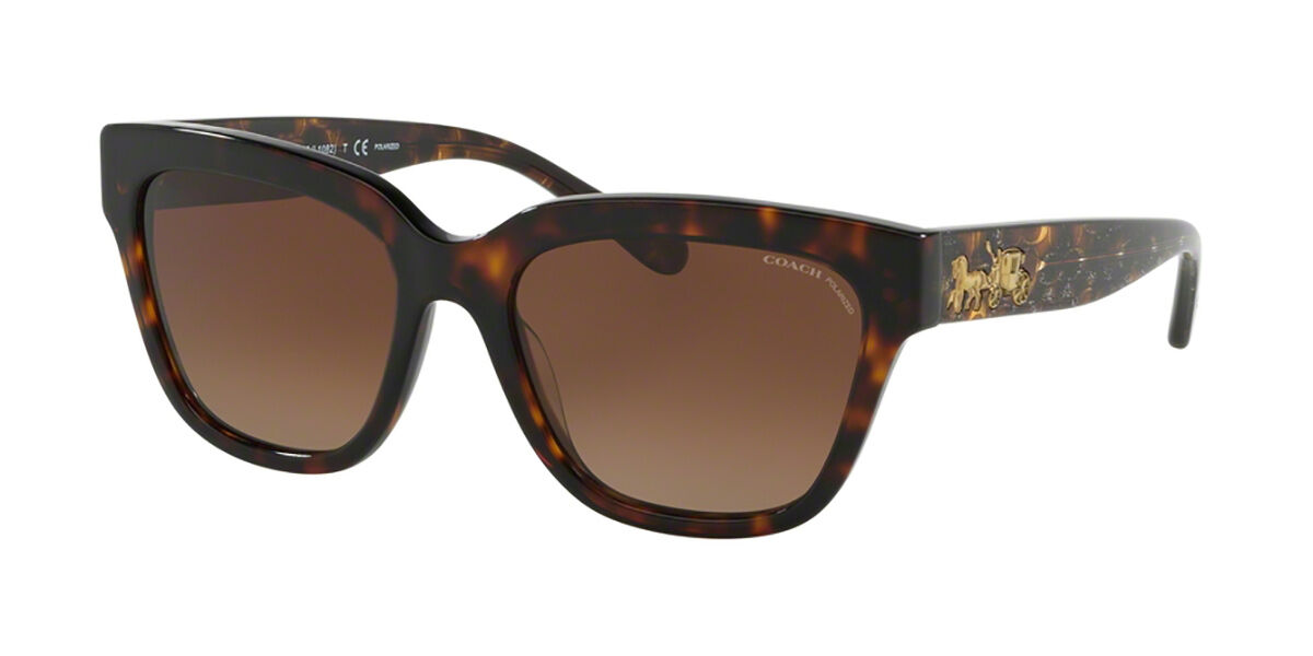 Coach HC8262 Polarized 5120T5 Sunglasses Tortoiseshell | VisionDirect ...