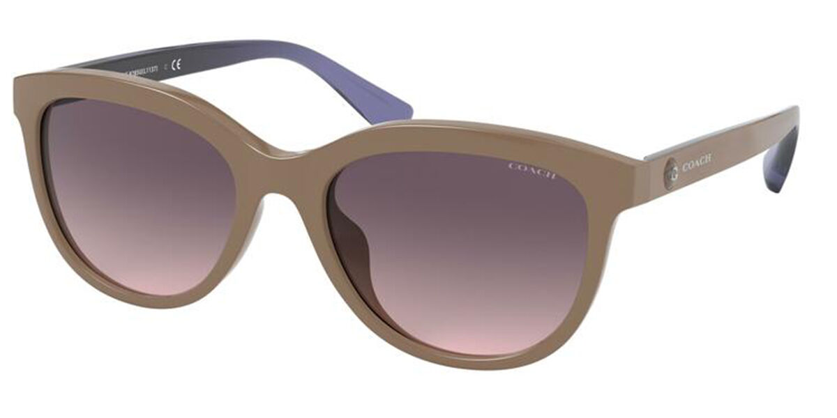 Coach HC8285U L1137 502879 Sunglasses Dark Blue | VisionDirect Australia