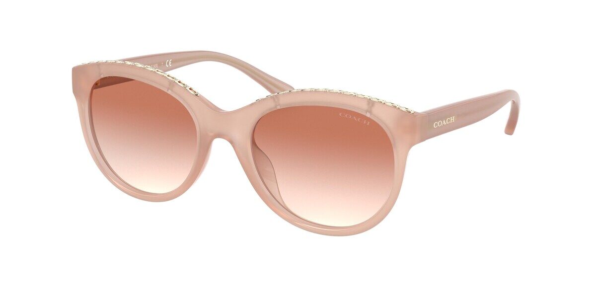 Coach HC8297U L1149 511313 Sunglasses in Milky Beige Brown ...