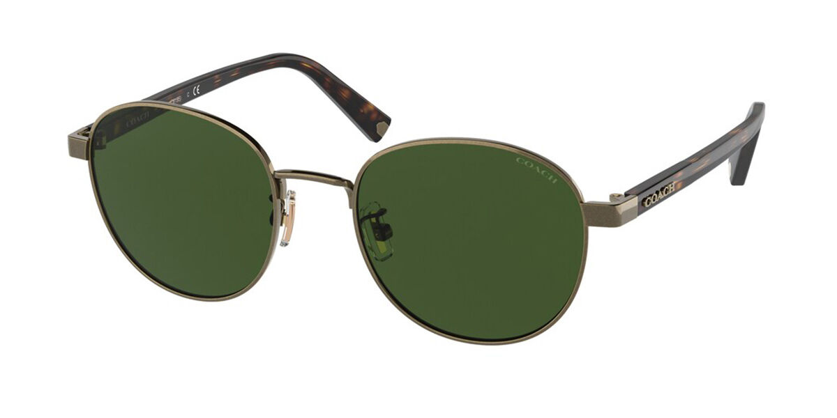 Coach HC7131 933371 Sunglasses Antique Gold | VisionDirect Australia