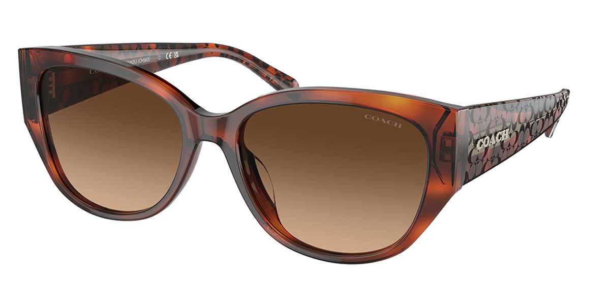 Coach HC8362U Asian Fit 574174 Sunglasses Dark Tortoise | VisionDirect ...
