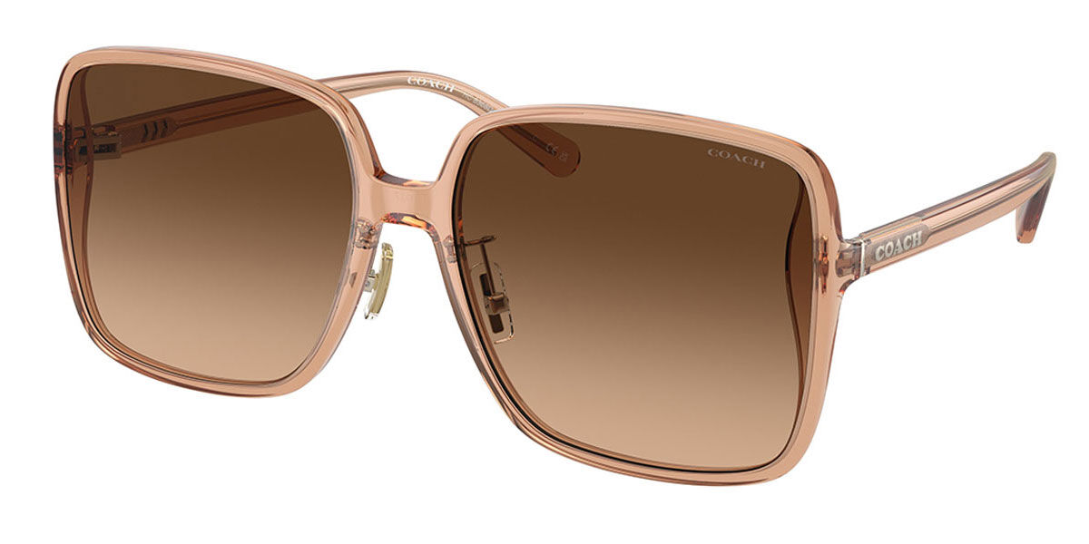 Coach HC8368D Asian Fit 556174 Sunglasses Transparent Brown ...