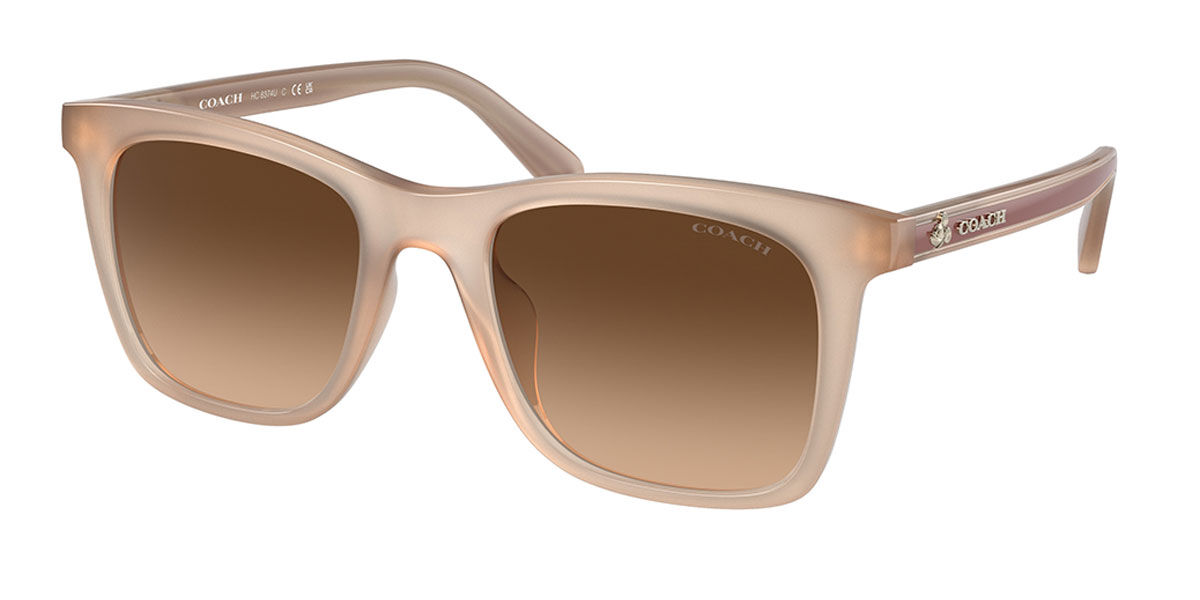 Coach HC8374U CH561 Asian Fit 512013 Sunglasses in Tortoise ...