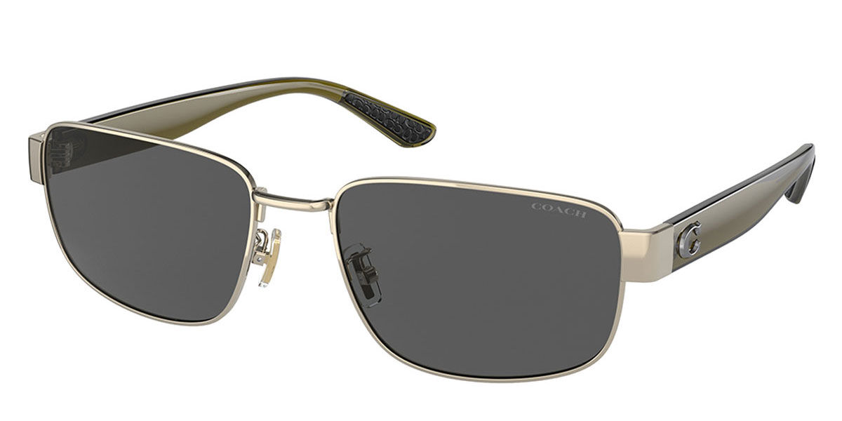 HC7149 CH579 Asian Fit sunglasses Pale Gold | SmartBuyGlasses US