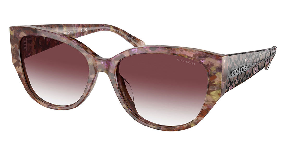 Coach HC8362U CH563 Asian Fit 57398H Sunglasses in Petal Tortoise ...
