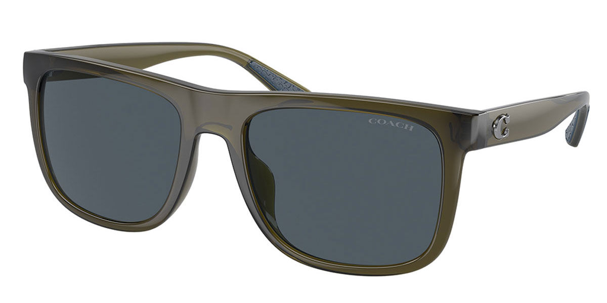 Lunettes de Soleil Coach HC8367U CH581 Asian Fit 576087 Transparent ...