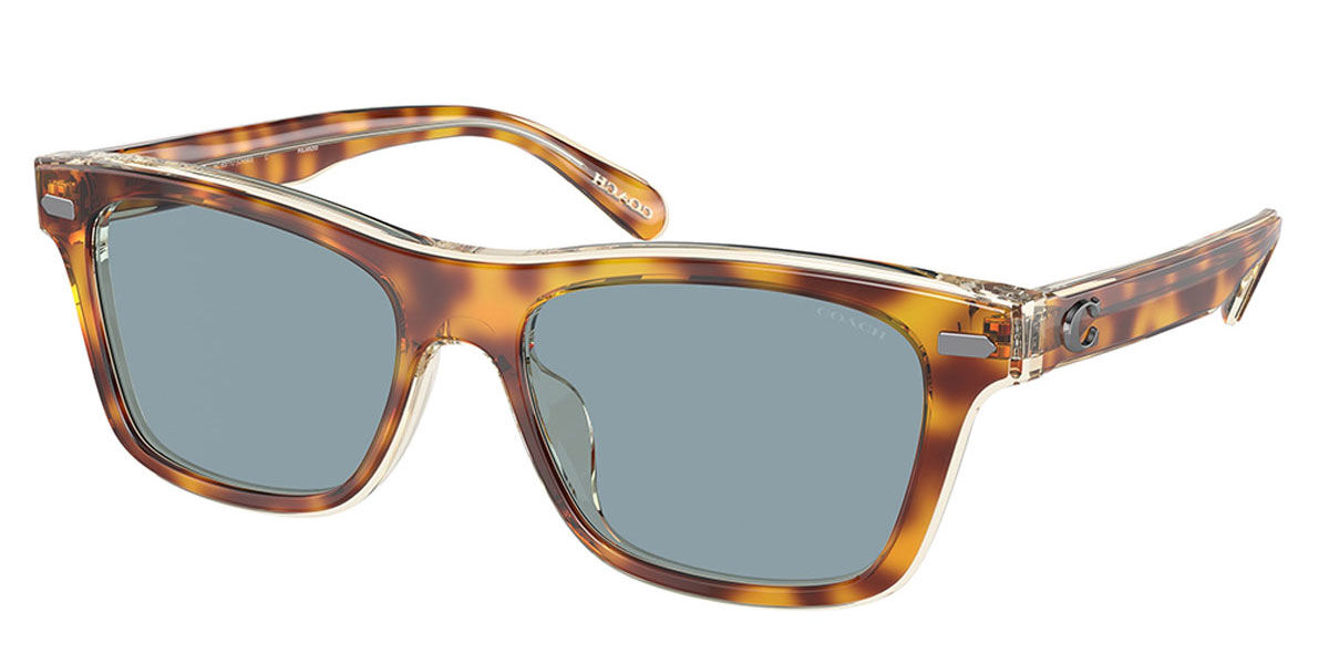 Coach HC8371U CH584 Asian Fit 574613 Sunglasses Transparent Green ...