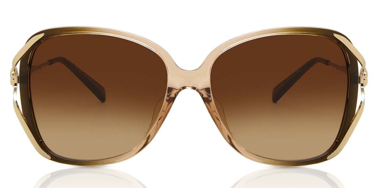 Coach HC8372BU CK482 576974 Papillon Transparent Gradient Brown/Gold ...