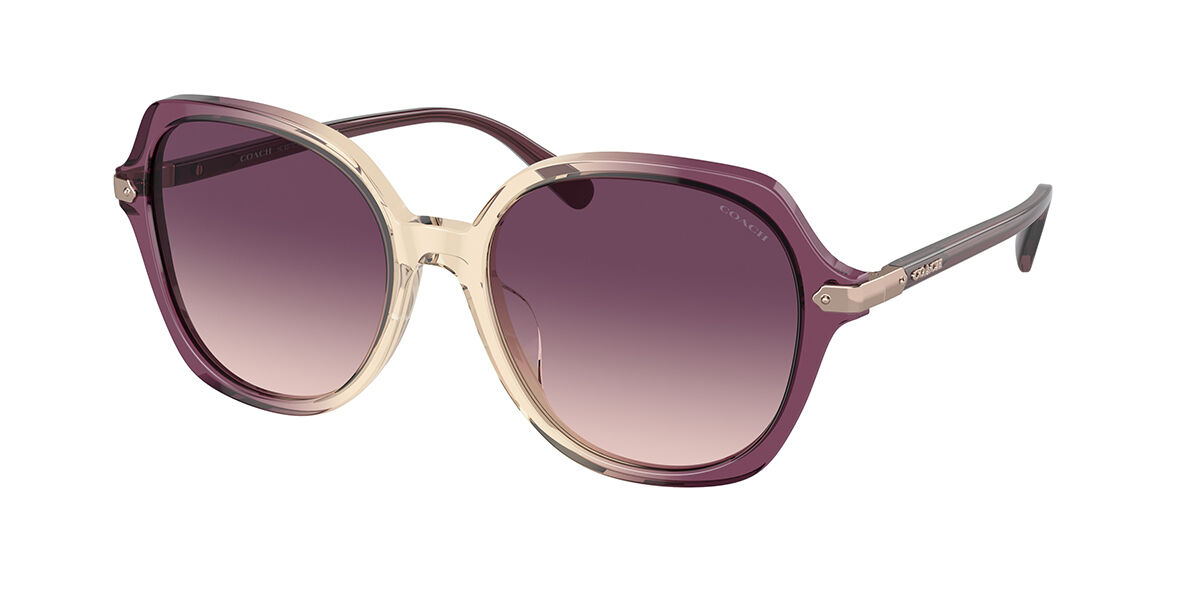 Coach HC8377U CL925 57737W Sunglasses in Gradient Transparent Purple ...