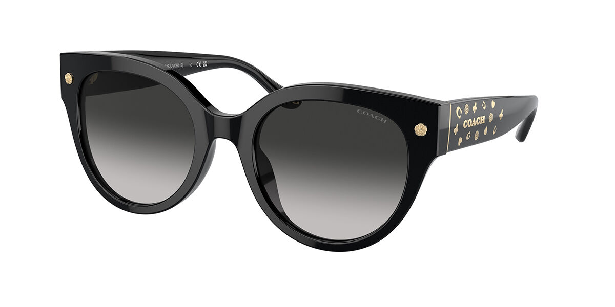 Lentes de Sol Coach HC8393U CR612 50023C Negro | LentesWorld México