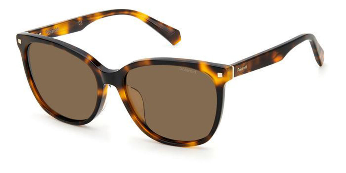 PLD 4113/F/S/X Asian Fit sunglasses Tortoise | SmartBuyGlasses US