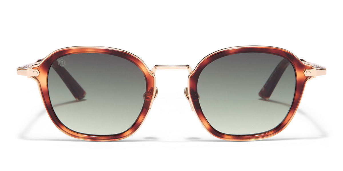 Taylor Morris Berkeley C2 Square Shiny Tortoise/Gold Sunglasses ...