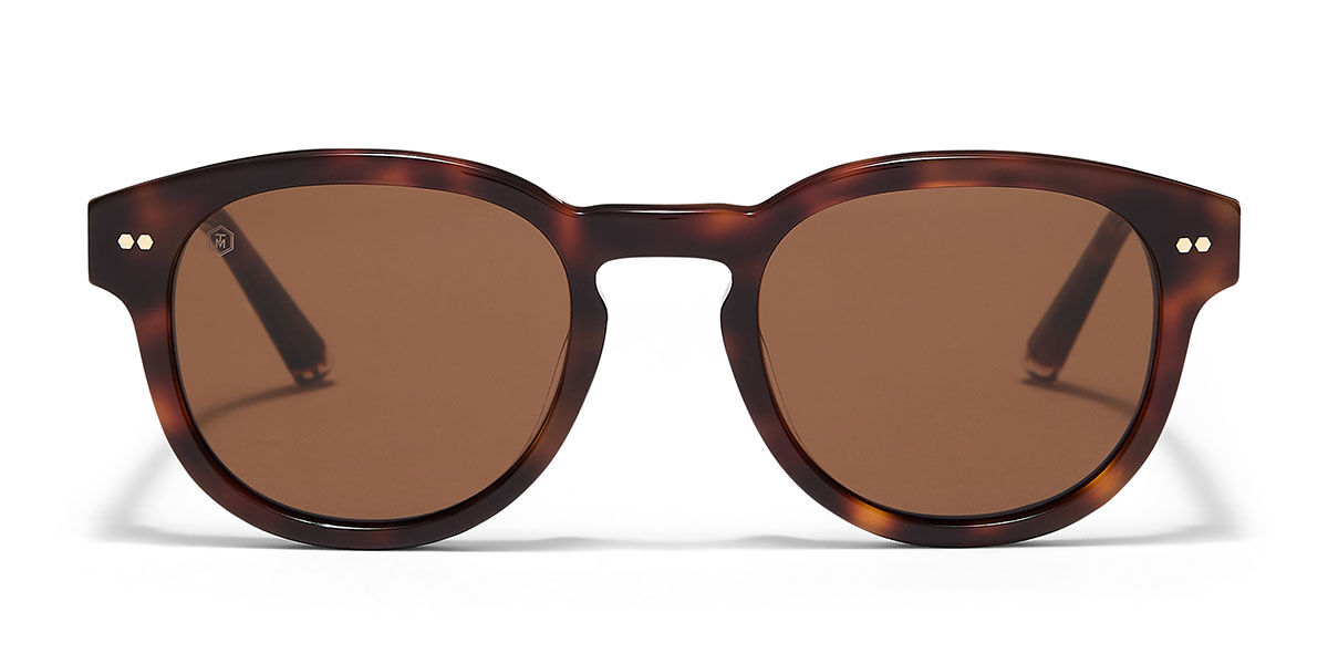 Taylor Morris Piccadily C2 Oval Shiny Tortoise Sunglasses ...