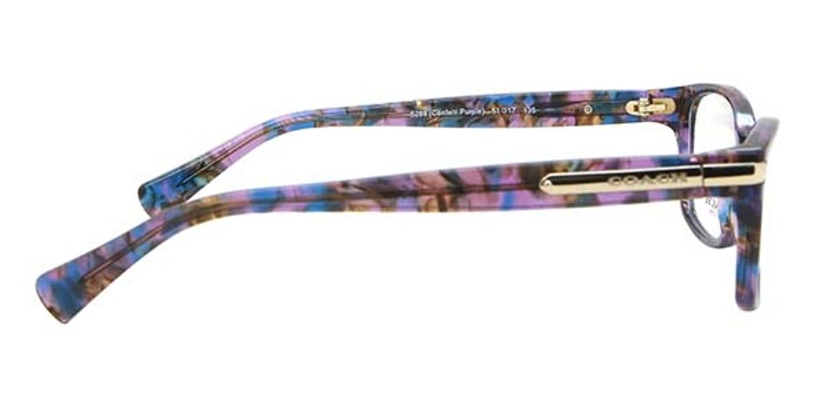 Coach HC6065 5288 glasses | Buy online now | SmartBuyGlasses CA