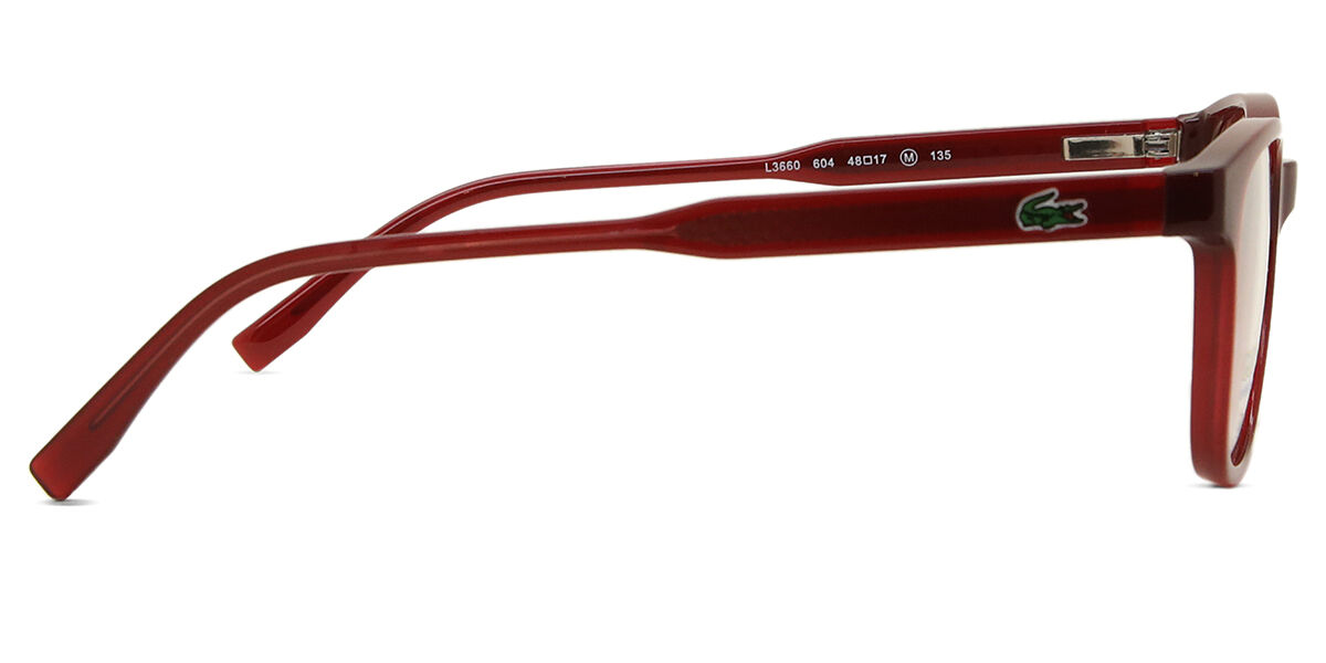 Lunettes L3660 N Transparent Light Burgundy | EasyLunettes